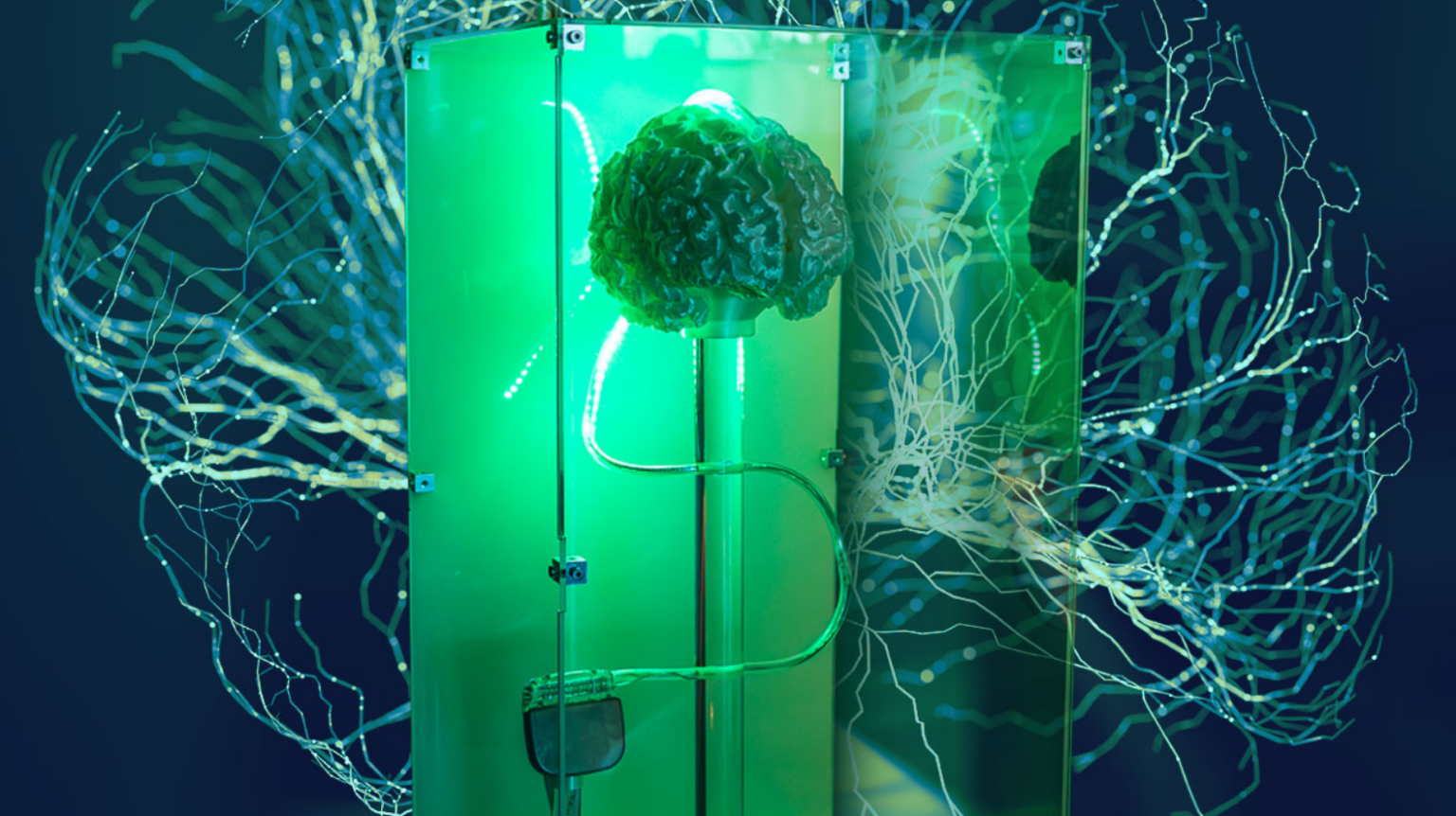 Brain-Computer Interfaces In Healthcare: Current Promise And Future ...